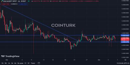 Raca Coin Geleceği Parlak Mı? Güncel Raca Grafik Yorum