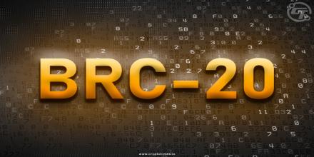 Bitcoin Sidechain MVC Developers Prepares To Launch BRC20 DEX