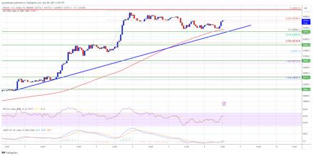 Bitcoin Price Remains Strong and Eyes Fresh Surge Above $44K