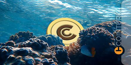 272x Yaptı! Solana ve Coinbase’in Desteği Bu Altcoin’i Uçurdu: Tüm Zamanların En Yüksek Seviyesine Çıktı!