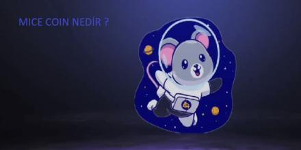 Mice Coin Nedir? MICE/USD Yorumları ve Geleceği