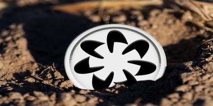 Token WLD da Worldcoin preparado para aumento de 80%, diz analista