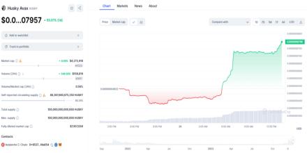 Avalanche Kritik Meme Coin Hamlesi Yaptı: Bu Tokenler Fırladı!