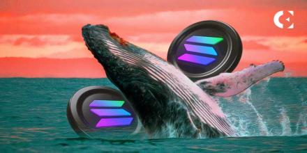 Última hora: La ballena de Solana obtiene una gran puntuación con SILLY, convirtiendo 787 mil dólares en grandes ganancias