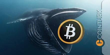 Bitcoin’in 7 Haneli Rakama Ulaşmasını Bekleyen Ünlü CEO Konuştu: Pişman Olacaklar!