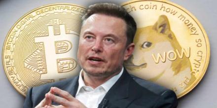 Elon Musk besitzt immer noch ‘eine Menge Dogecoin’ – SpaceX besitzt ‘eine Menge Bitcoin’