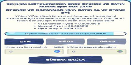 Kripto analistinden cesur fiyat tahmini: XRP yüzde 800 artışla 5 dolara ulaşabilir!
