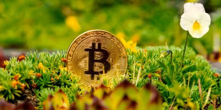 Zrównoważone wydobywanie Bitcoinów osiąga najwyższy poziom w historii
