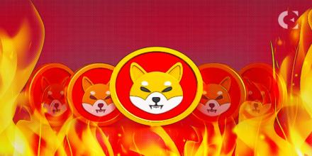 Shiba Inu Frenzy: la tasa de quema se dispara un 459%, Robinhood agrega 15 mil millones de tokens SHIB