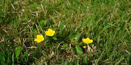 Mutter verschwunden | Neunjähriger Bub allein zu Hause