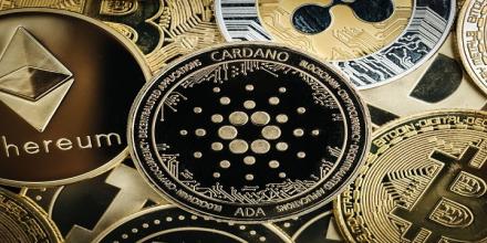 Cardano-Wachstum könnte eine neue Rallye auslösen; $GFOX nähert sich 4 Millionen US-Dollar