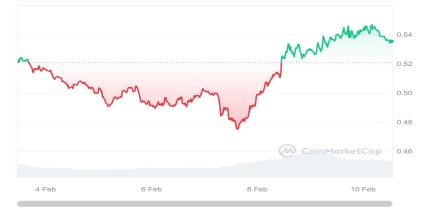 Bir sonraki boğa koşusu için en iyi altcoin seçimi: Ünlü analist neden ADA coini seçti?