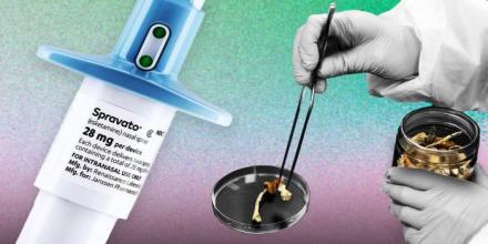 Investoren strömen in psychedelische Drogen-Start-ups, die sich mit der psychischen Gesundheit befassen
