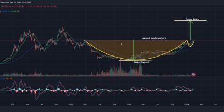 Kripto yatırımcıları için trendleri belirleyen analiz: Bitcoin mi yoksa XRP mi?