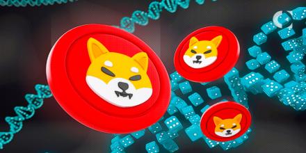 Shiba Inu quemará SHIB, BONE y LEASH con NFT de Sheboshis no reclamados