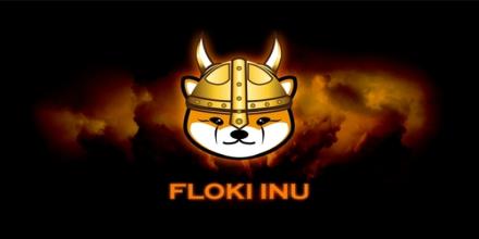 Ist Memeinator nach der Bonk- und Floki-Rallye das nächste große Ding?