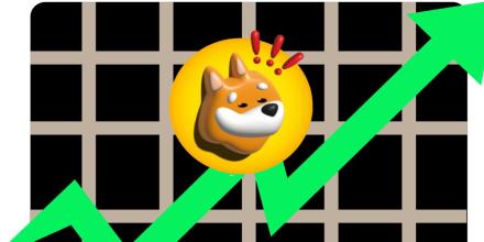 BONK Coin Fırladı! BONK Alternatifi Frog Wif Hat Token Yüzde 1000 Arttı