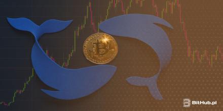 Cena Bitcoina blisko historycznych maksimów, co kupują wieloryby? Nansen podał najnowsze dane