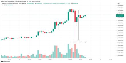 Cena Shiba Inu (SHIB) spada o 50% na Coinbase