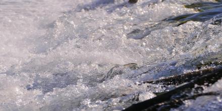 Fünfjähriger stürzt in Linz aus Fenster und stirbt