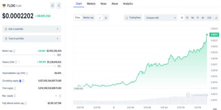 SHIB, PEPE Coin Değil Bu Meme Coin Roketledi: İşte Nedeni!