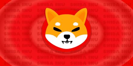 Shiba Inu BONE Token erhält über 20.000 Picks im Binance Futures NEXT-Programm