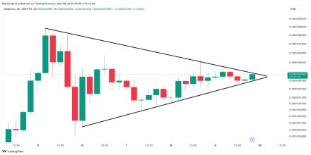 Cena Shiba Inu spadła, mimo spalenia ponad 13 mld tokenów