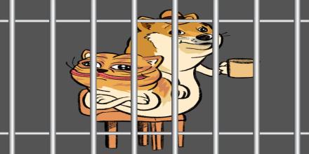 Solana Tabanlı DogWifCat Kripto Piyasasını Kasıp Kavuruyor! DogWifHat Rakibi DWIFC Yüzde 4 Bin Arttı