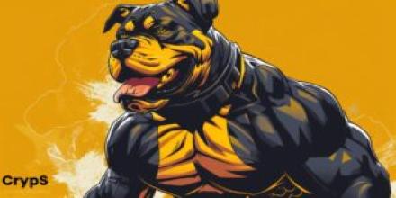 Czas na naprawdę potężnego memecoina! Binance ogłasza konkurs na 1 mln USD