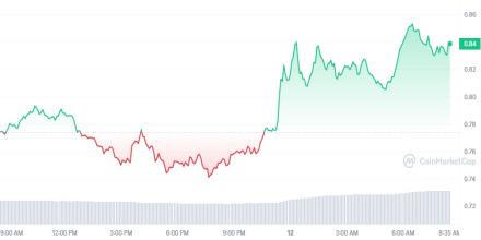 Bu Altcoin Önemli Bir Testi Gerçekleştirdi: Token Fiyatı Sıçradı!