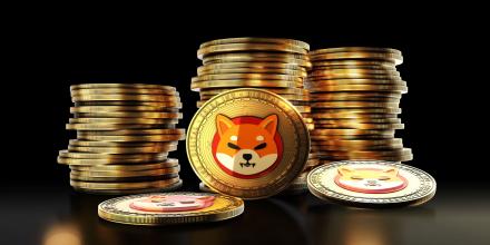 Shiba Inu 12 Milyon Dolar Yatırım Aldı: Ekosisteme Yeni Token da Geliyor!
