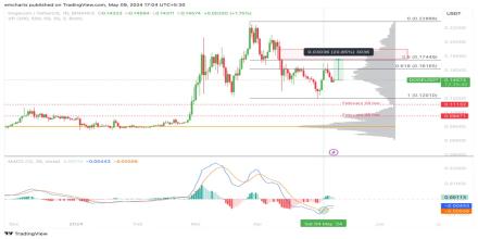 DOGE, SHIB ve BONK Coin Tahminleri: Birisi Sıçrayacak!