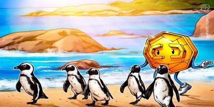 Pudgy Penguins vendeu 1 milhão de pelúcias em 12 meses, diz CEO