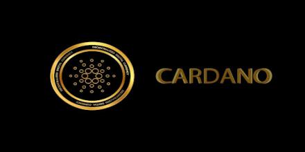 Analysten empfehlen diesen neuen Altcoin, warum sind Cardano und Ripple (XRP) nicht auf der Liste?