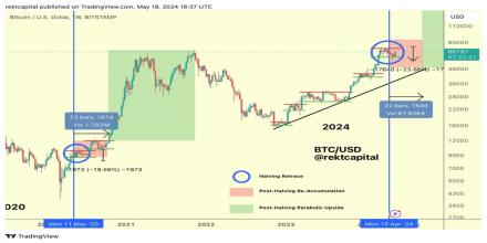 Bitcoin ve O Altcoinler Yüksekten Uçuyor! Analist: Son Alım Fırsatı!