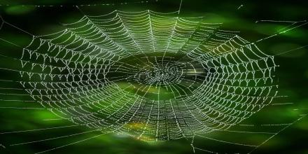XinFin Network: Aktueller RSI zeigt Überbewertung – Was bedeutet das für Anleger?