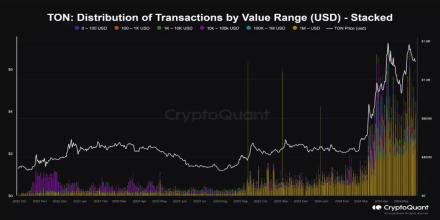 TON Coin ve O 9 Altcoin, Şirketler ve Balinaların Hedefinde!
