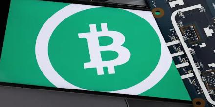 Die nächsten großen Kryptowährungen, die ansteigen werden: BCH, KANG, SHIB