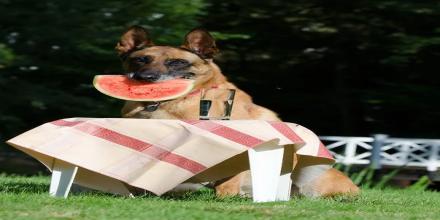Krypto-Studie zeigt: US-Bürger mit begrenztem Blockchain-Wissen – 5thScape gewinnt 50.000+ Käufer in 2 Monaten