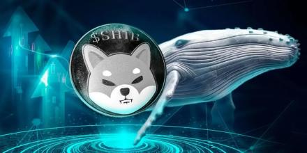 SHIB Coin, XRP ve Bu 2 Altcoin, Balina Kuşatması Altında! Biriktiriyorlar