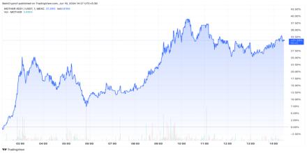 FLOKI, PEPE Değil O Meme Coin Ralli Yaptı: İşte Nedeni!