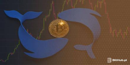 Bitcoin krwawi, kryptowaluty stoją przed klifem? Wieloryby podejmują decyzję, której rynek nie widział od lat