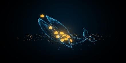 Krypto-Wal kauft Bitcoin im Wert von 961 Millionen Dollar während des Markteinbruchs
