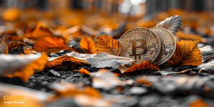 Inwestorzy bitcoina wyczekują jesieni. Oto czynniki, przez które kurs BTC zacznie wzrastać