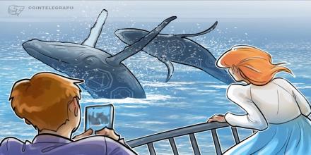 「クジラたちが次のアルトコインラリーに備えている」=クリプトクオント創業者