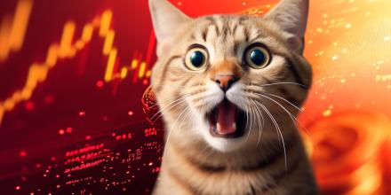 Oportunidades em memecoins: onde investir após a queda do mercado