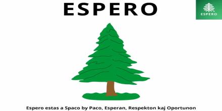 Brasileiro declara independência de território e adere ao Bitcoin como moeda de curso legal