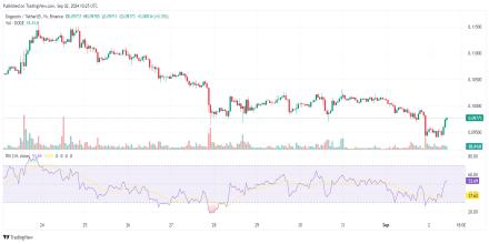 Meme coin piyasasındaki son gelişmeler: SHIB ve DOGE fiyatı neden yükselmiyor?
