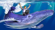 ビットコイン市場に再びビットフィネックスのクジラか|相場は割安で買い推奨の声