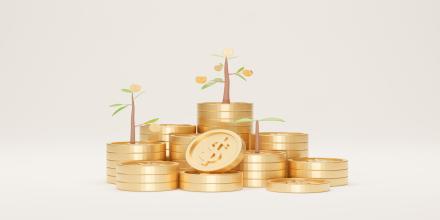 Analist: Hazır Olun! Bitcoin Pump’ından Önce FTM Coin ve Bu 4’ünü Biriktirin!